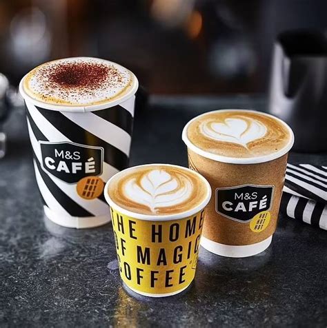 أكواب من الألياف الورقية صديقة للبيئة صحيفة الخليج