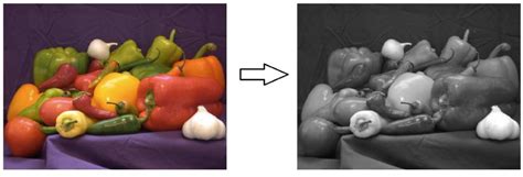 Figure 1 From Analysis Of Adaptive Image Retrieval By Transition Kalman
