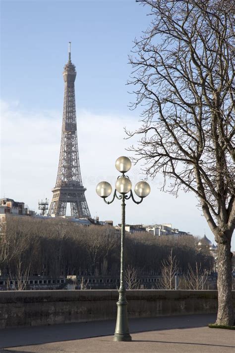 Eiffel Tower With Winter Tree Paris Stock Photo Image Of Tree Eiffel 191251374