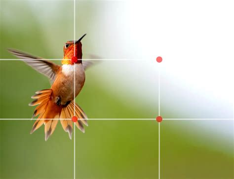 Composición Fotográfica Reglas Y Leyes