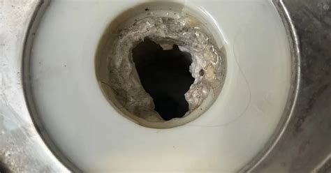 샤워실 바닥 배수구 막힘 증상 견적좀 숨고 숨은고수