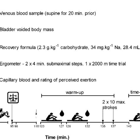 An Overview Of Testing Commitments Undertaken During Each 2000 M Rowing