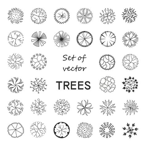 Trees Master Plan Tree Architectural Floor Plans Entourage Design