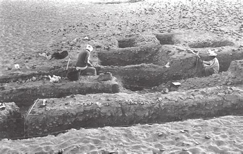 1 Layout Of The Trenches In Sector 9103 Viewed From The North