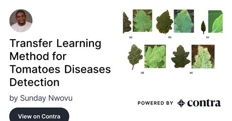 Transfer Learning Method For Tomatoes Diseases Detection By Sunday Nwovu