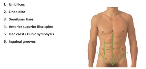Laparotomia E Laparoscopia Concise Medical Knowledge