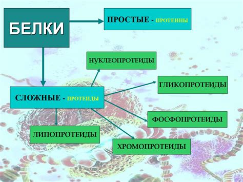 Белки плазмы крови. Клиническая биохимия - презентация онлайн