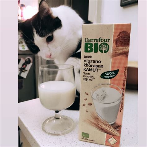 Carrefour Drink Di Grano Khorasan Kamut Reviews Abillion