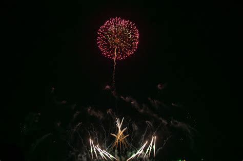 아름다운 멀티 컬러 불꽃 놀이 폭발 나무 실루엣과 조명 다채로운 불꽃 놀이 축하 개념을 통해 하늘을 조명 12월에 대한 스톡