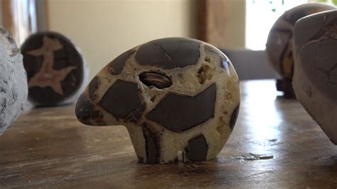 A Fun Guide To Septarian Nodules What They Are And Where To Find Them Rock Seeker
