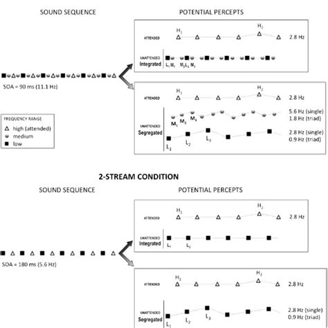 Experimental Design Schematic Diagram Of The Stimulus Paradigm Showing