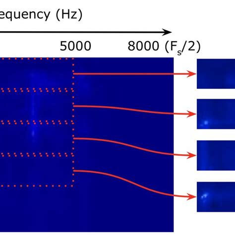 Signal Representation Adopted In The Deep Learning Scheme Each 19 × Download Scientific