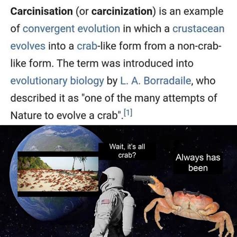 The Best Carcinization Memes Memedroid