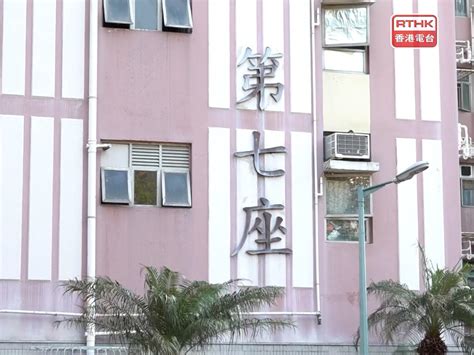 屯門寶田邨謀殺案33歲男子死亡 44歲女子涉誤導警員被捕 Rthk
