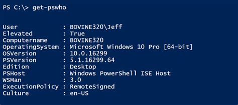 who is running your powershell script the lonely administrator