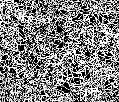 Grayscale Find Fraction Of Bright Pixels In Image Thresholding