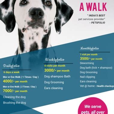 The 10 Best Pet Groomers In Bangalore Corporation Building Bangalore