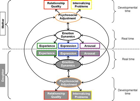 Figure 11 From Interpersonal Emotion Dynamics In Mother Daughter Dyads During Adolescence