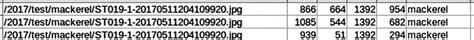 first three rows of the annotations test annotations csv showing