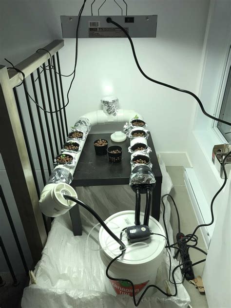 Building An Indoor Nft Hydroponics System With Raspberry Pi Monitoring