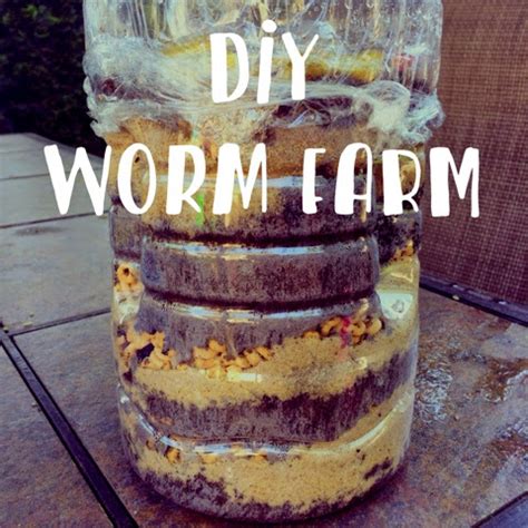 DIY Worm Farm Prebabe Science Views From A Step Stool