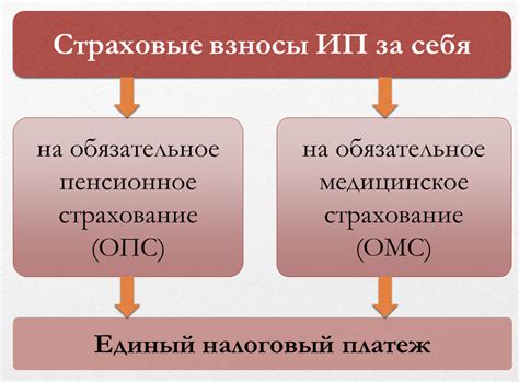 Фиксированные страховые взносы ИП за себя в 2023 году новый порядок