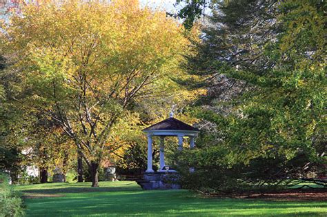 Tree Time Arboretum Walk With Maggie Redfern Blithewold