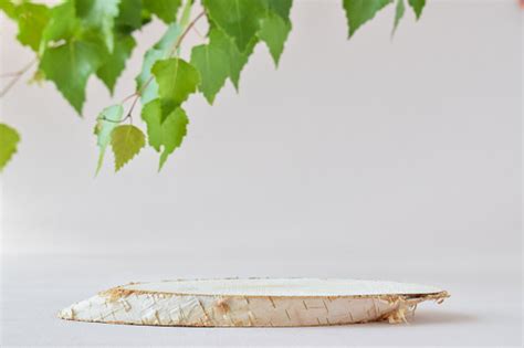 거짓말자작나무와 녹색 나뭇가지가 있는 미니멀한 장면 제품 및 화장품 의 프리젠 테이션을위한 패션쇼 천연 제품을 위한 무대와 함께 전시 에코 브랜딩 1에 대한 스톡 사진 및