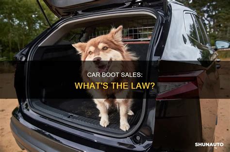 Car Boot Sales What S The Law ShunAuto