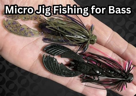 Micro Jig Fishing For Bass Barb Catch Fishing