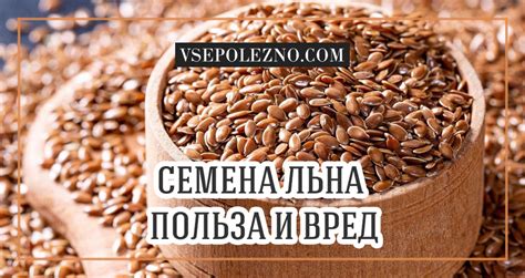 Семена льна: Омега-3, польза и вред, кому не рекомендуется
