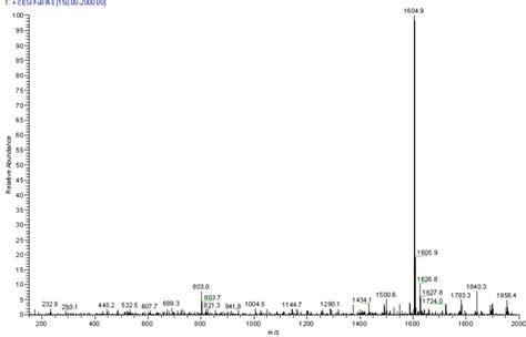 High Quality Peptide Klh Synthesis Services Biorunstar