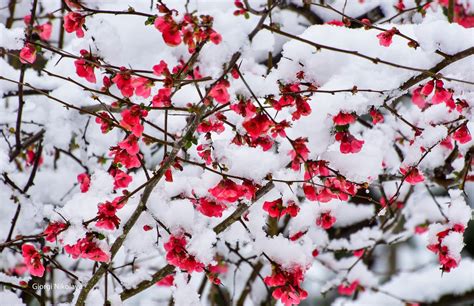 Giorgi Nikolava Giorgi Nikolava Photography