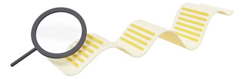 Setting Up The Router Netis Configuring Routers Technical Support Briz