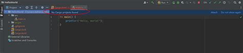 使用 Clion 进行 Rust 编程 迷途小书童的note迷途小书童的note 使用 Clion 进行 Rust 编程 迷途小书童的note迷途小书童的note