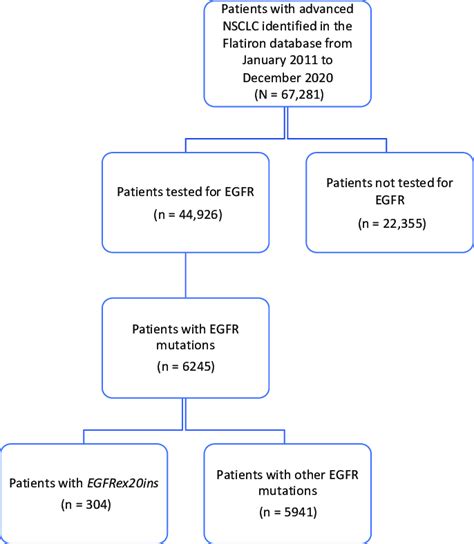 Patient Attrition Ex20ins Exon 20 Insertions Download Scientific