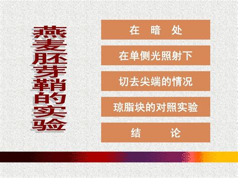 燕麦胚芽鞘的实验 word文档免费下载 文档大全