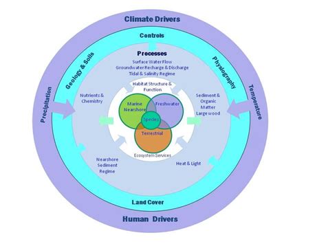 Conceptual Model For The Puget Sound Ecosystem Illustrating