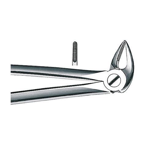 Orbis Kliješta Donja Korjenska Br33a Indentals