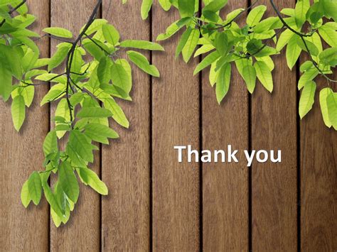 나무 배경 애니메이션 피피티 템플릿 Goodpello