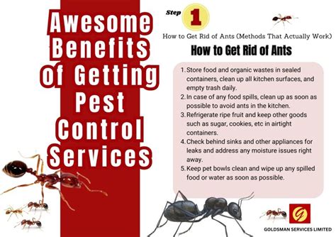 Goldsmanofficial Ghana On Linkedin Three Things That Attract Ants To