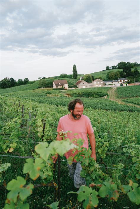 Timothée Stroebel Newcomer Wines