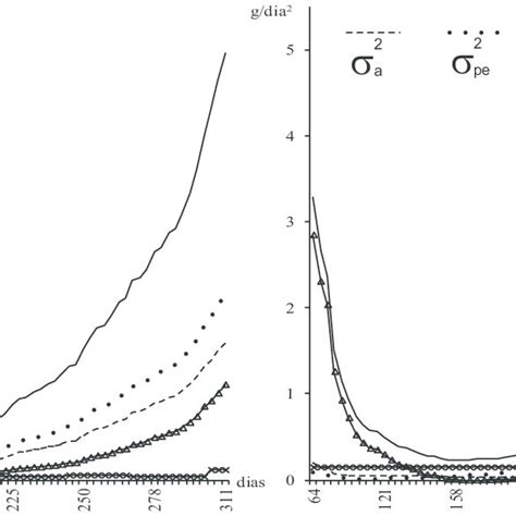 Phenotypic Additive Genetic Permanent Environmental