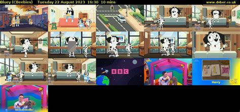Bluey Cbeebies 2023 08 22 1630