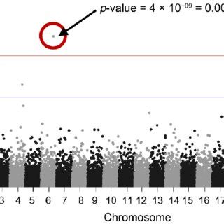 Manhattan Plot Of All The P Values For The Gwas Results Data