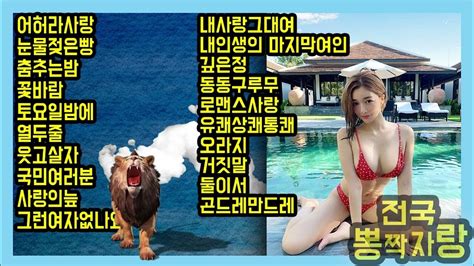 트로트 메들리 꺾어봐 명품 디스코 현장 댄스 파티 Youtube