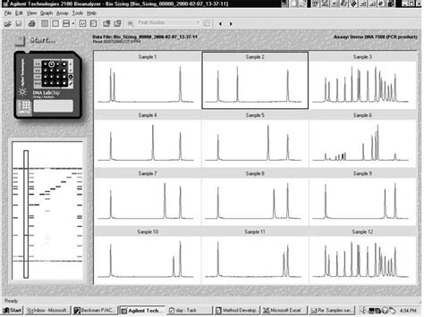 Data Output Of The 2100 Bioanalyzer After Sizing12 Dna Samples In One