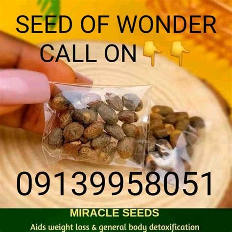 Ghanamiracle Seeds
