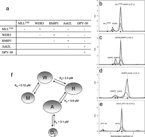 pairwise interactions within the mll1 core complex a summary of