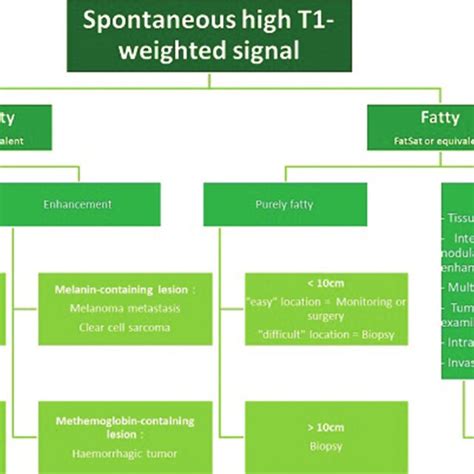 Mri Diagnostic And Management Algorithm For Lesions With Spontaneous Download Scientific